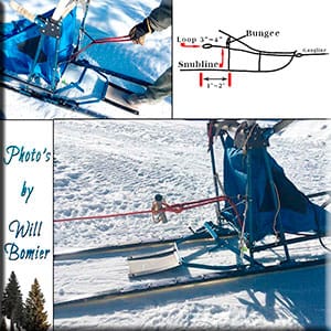 Race Entry - Northern Pines Sled Dog Race