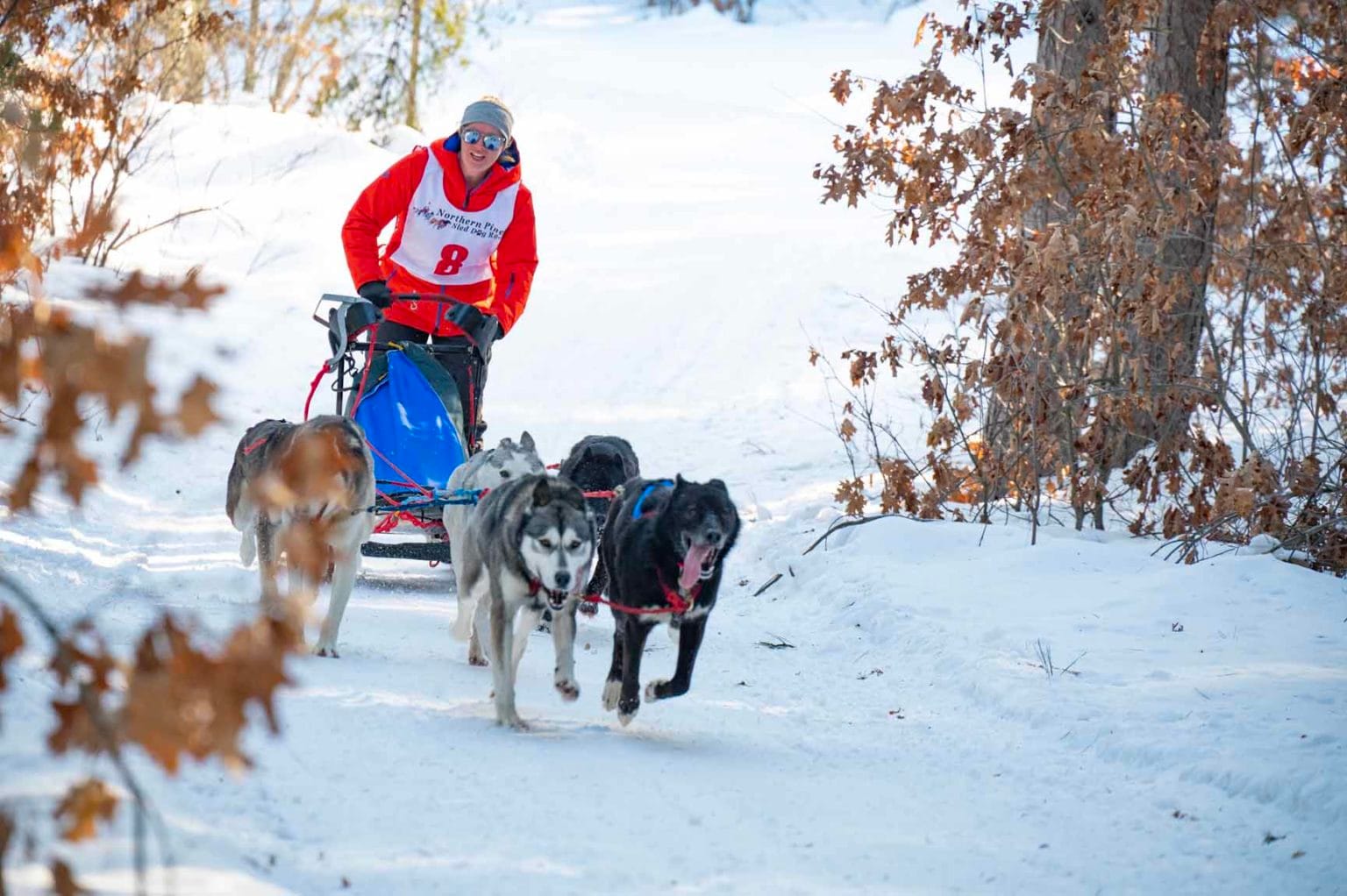 Registrations - Northern Pines Sled Dog Race
